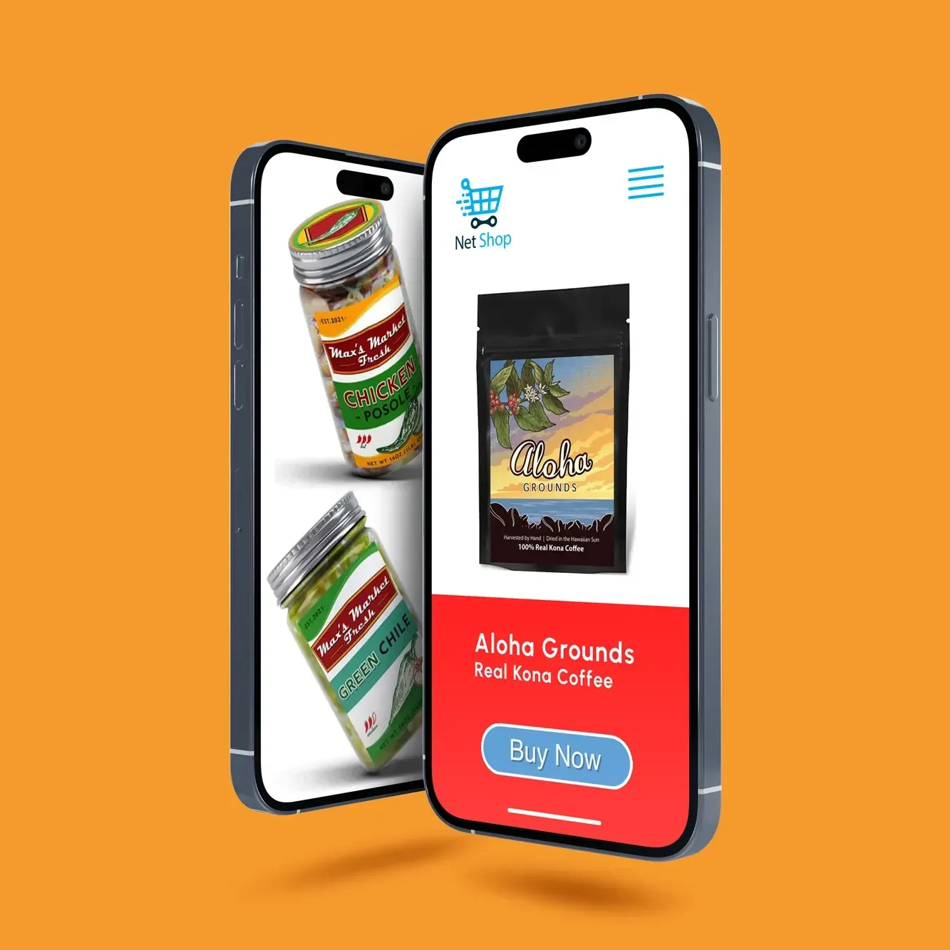 Website design in Denver | Big Orange Planet